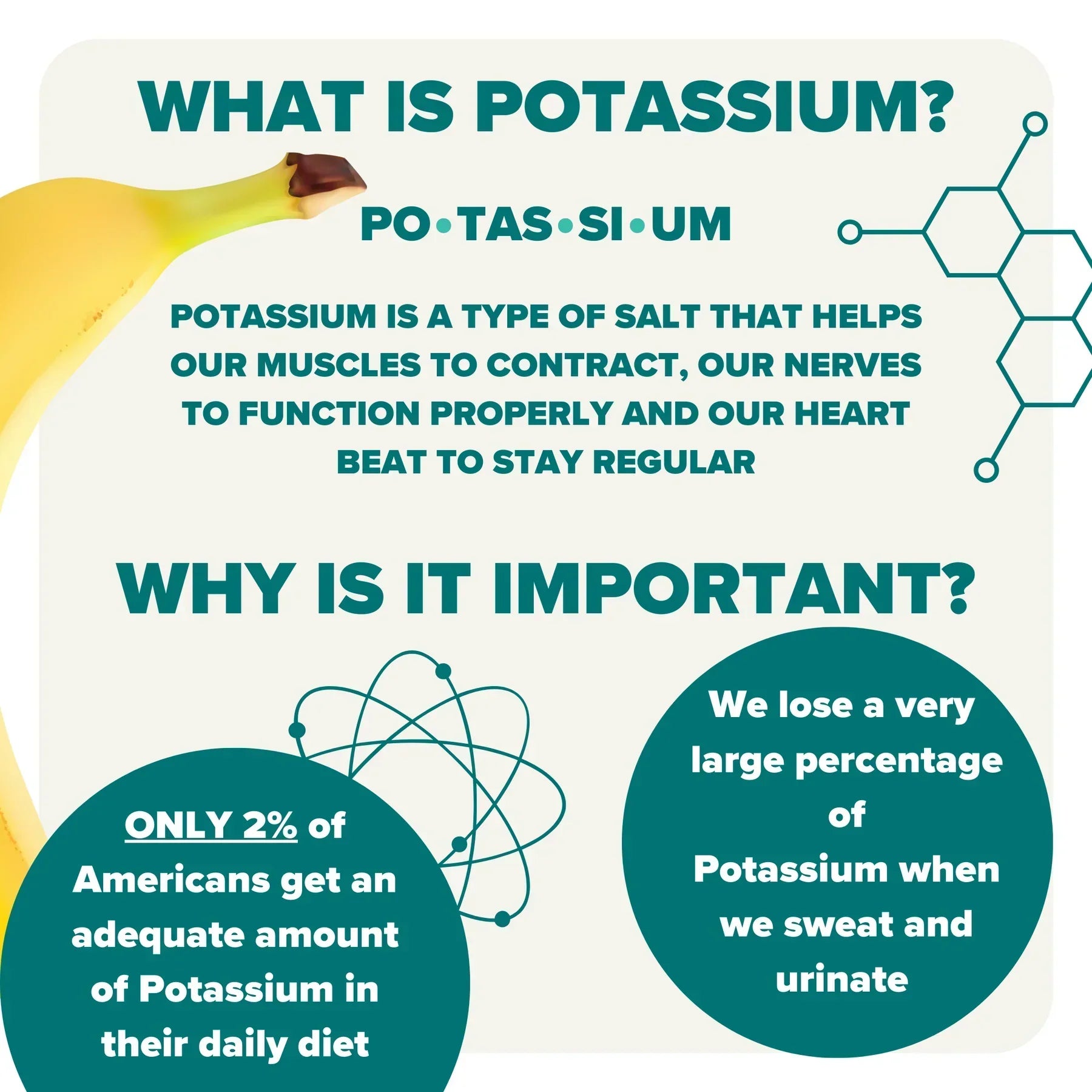 Harvard Health: The Importance of Potassium – REV GUM